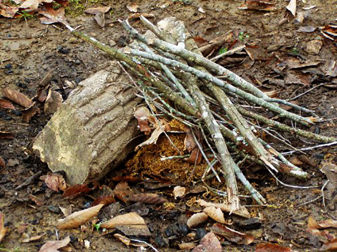 Fire Building Techniques: Know How to Build a Fire in Minutes – Hiking ...