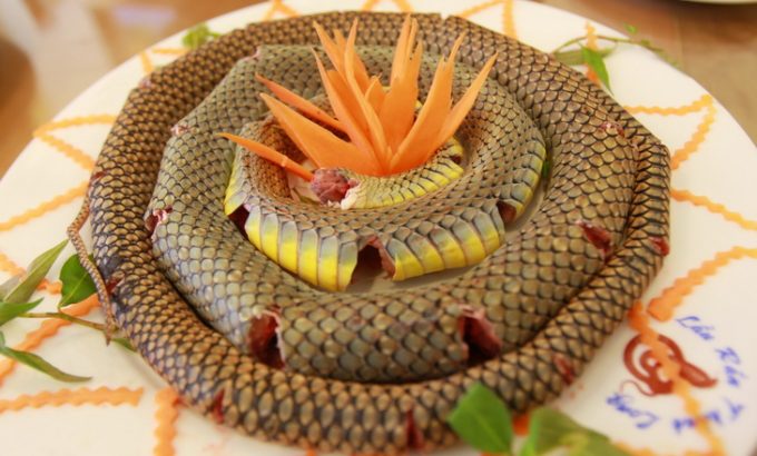 Edible Snakes: How to Know Which Ones You Can Eat – Hiking Tips and Advice
