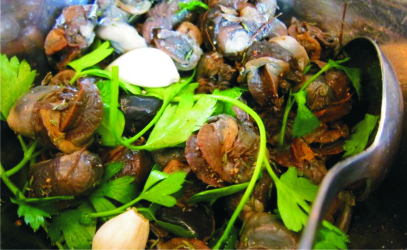 Edible Snails: When You Don’t Want Fast Food – Hiking Tips and Advice