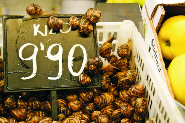 Edible Snails: When You Don’t Want Fast Food – Hiking Tips and Advice